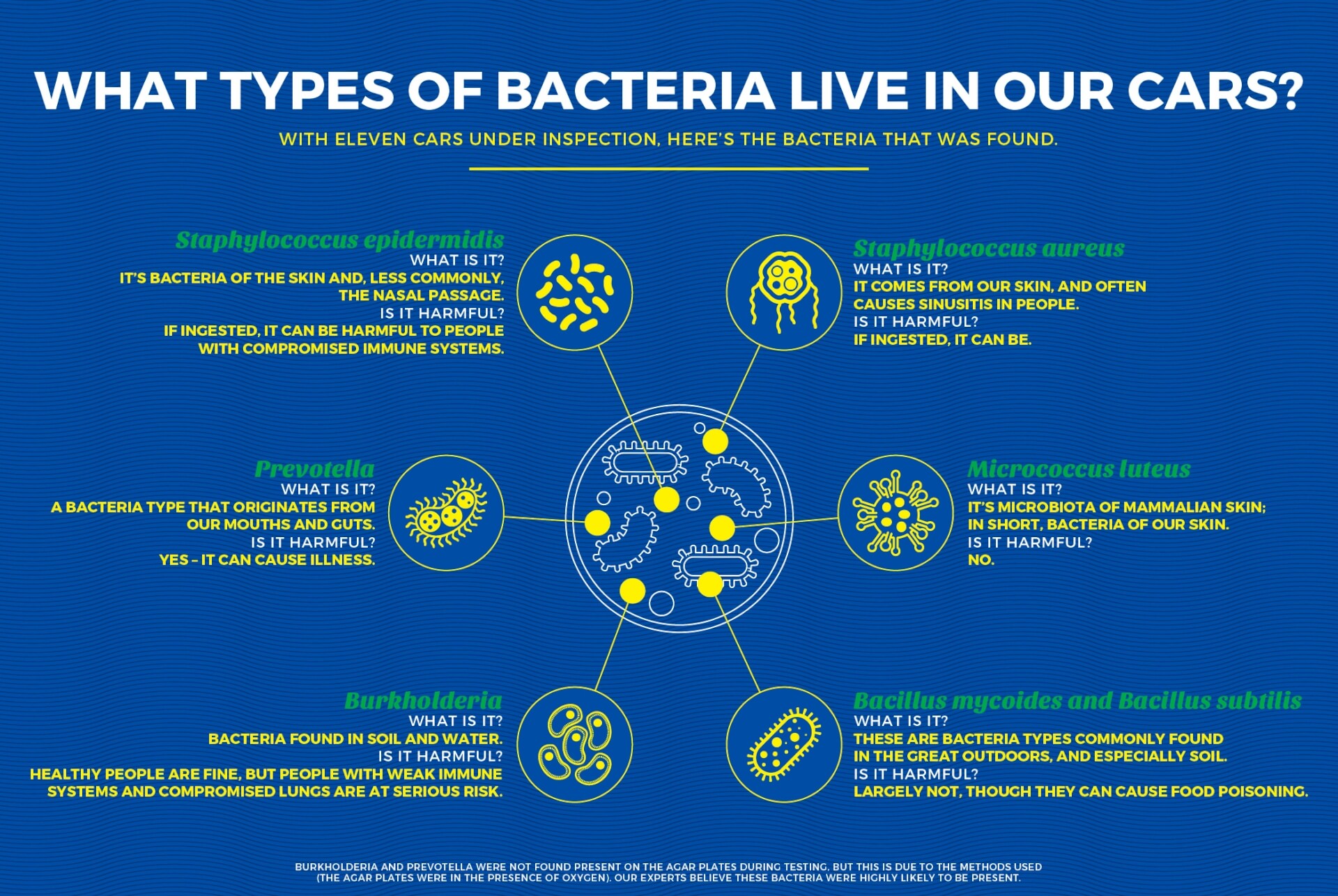Germs in Cars Study | News | ATS Euromaster