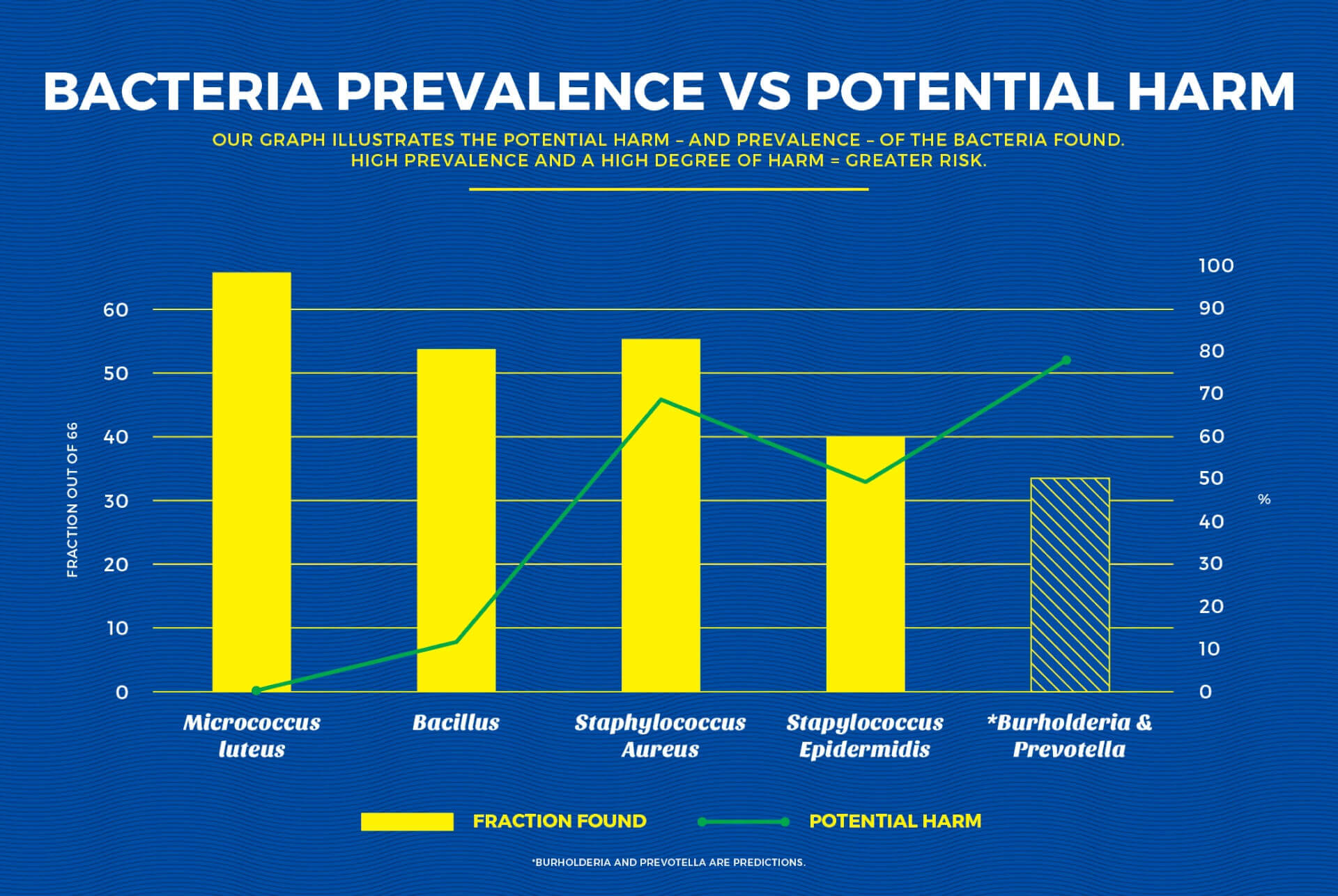 Germs in Cars Study | News | ATS Euromaster