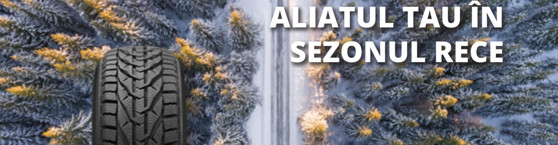 Anvelopa de iarna RIKEN SNOW